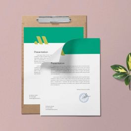 Letterhead Printing | Lotsa